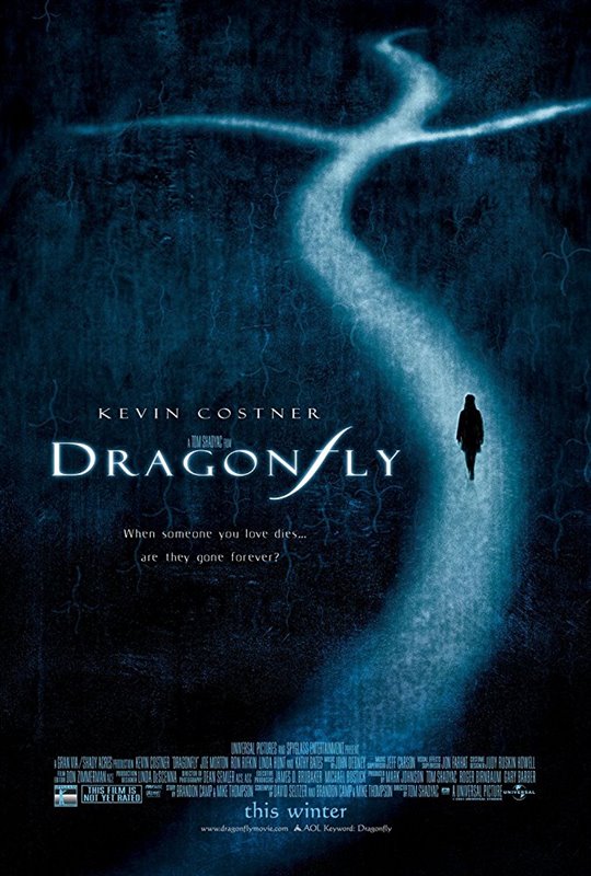 Dragonfly | On DVD | Movie Synopsis and info
