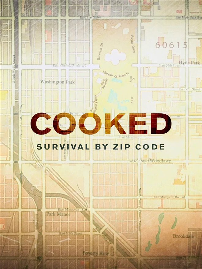 Cooked: Survival By Zip Code Movie Poster