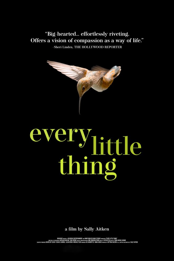 Every Little Thing Movie Poster