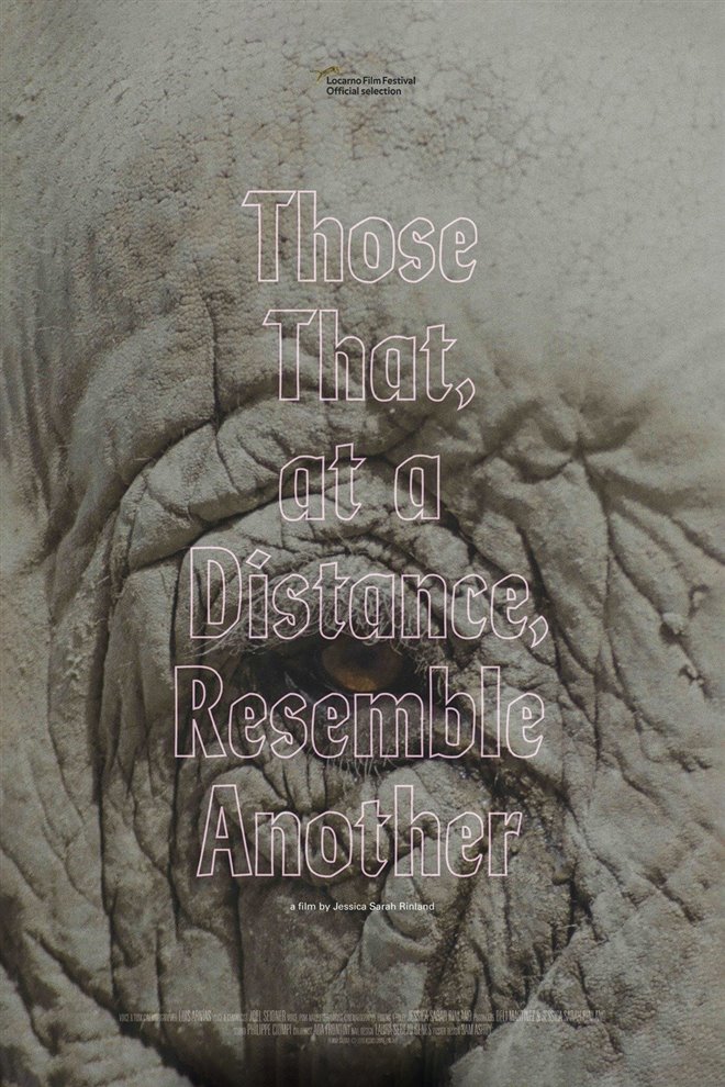 Those That, at a Distance, Resemble Another Movie Poster